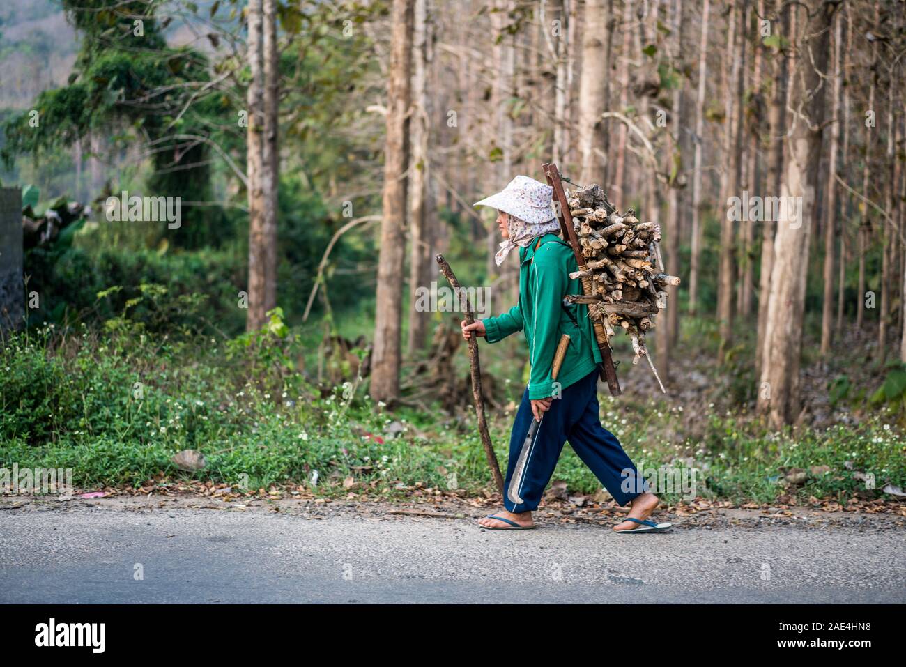 Local woman carry wood from forest, Luang Prabang, Laos, Asia Stock ...