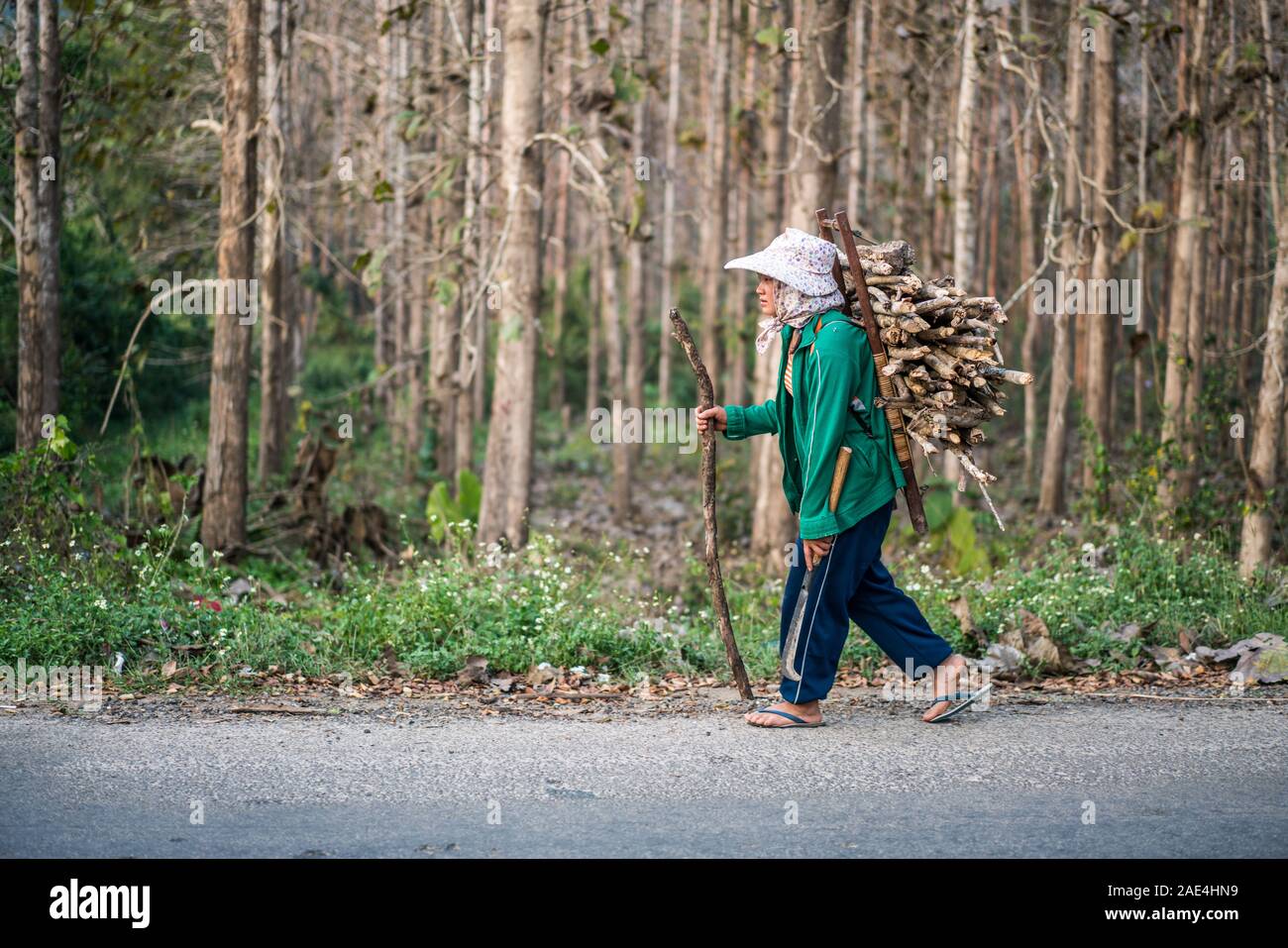 Local woman carry wood from forest, Luang Prabang, Laos, Asia Stock ...