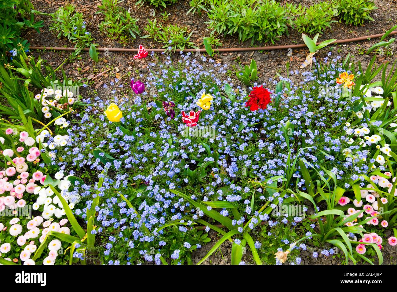 Flower Gardens Royal Cathedral Wawel Castle Krakow Poland St ...