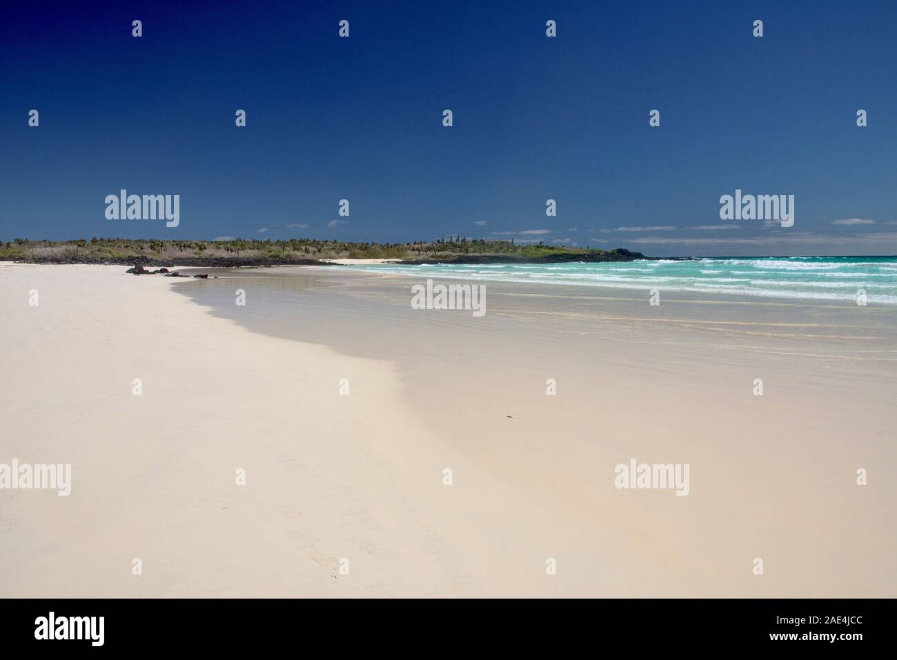 Tortuga isla santa cruz hi-res stock photography and images - Alamy