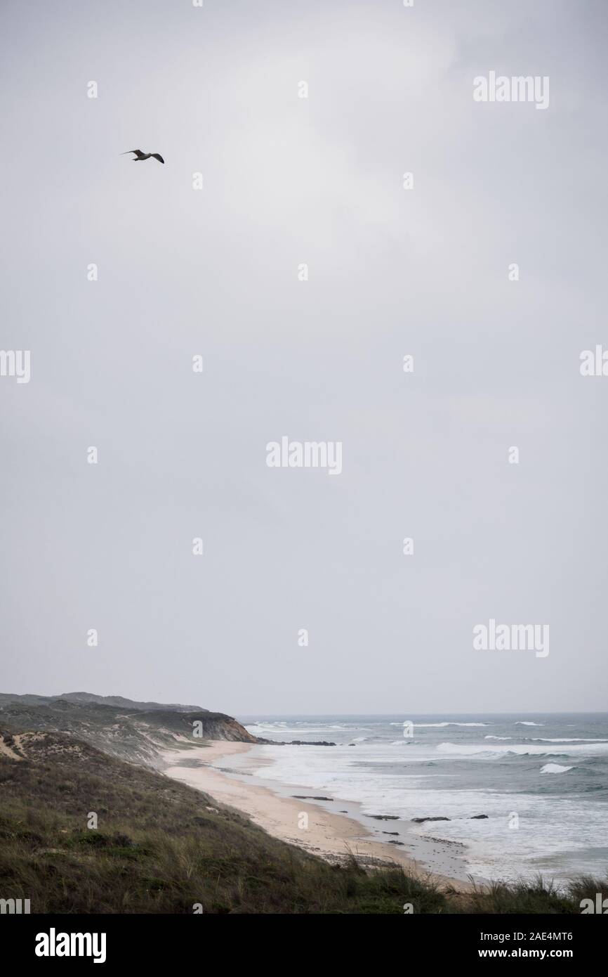 Fly over the ocean waves hi-res stock photography and images - Alamy