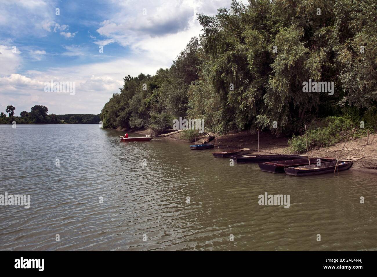 The Tisa River flows silently through the plain. Fishing boats are tied ...
