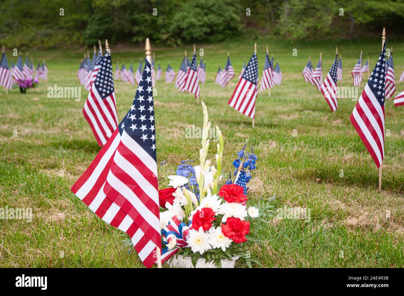 Local Cemetery honors the veterans with USA Flags Stock Photo - Alamy