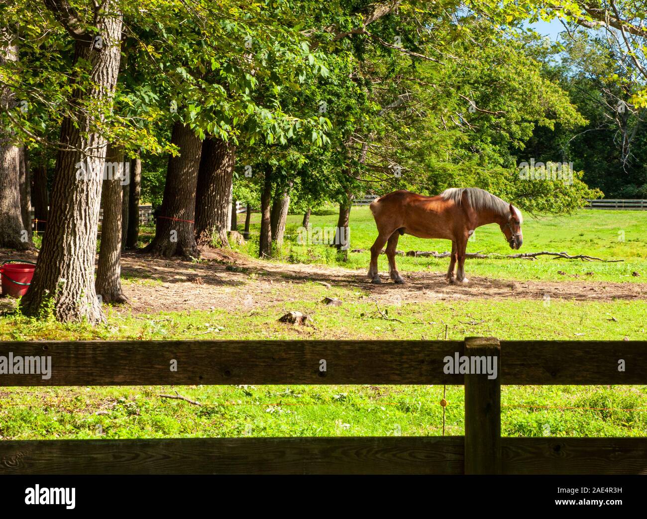 Red bucket hi-res stock photography and images - Alamy