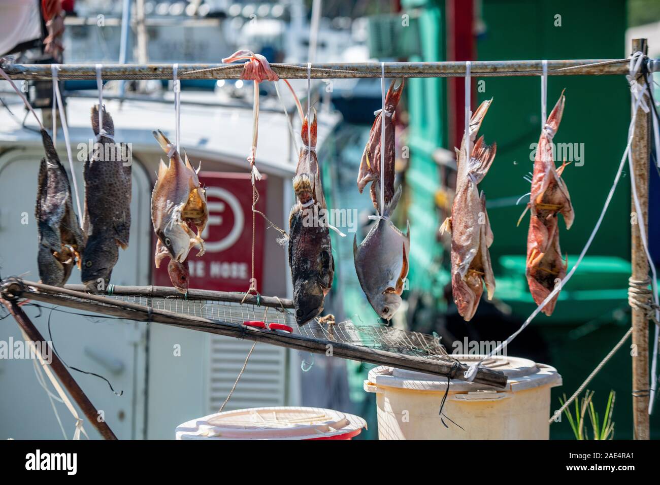 Fish drying on the promenade of Hong Kong Island's Aberdeen Harbour ...