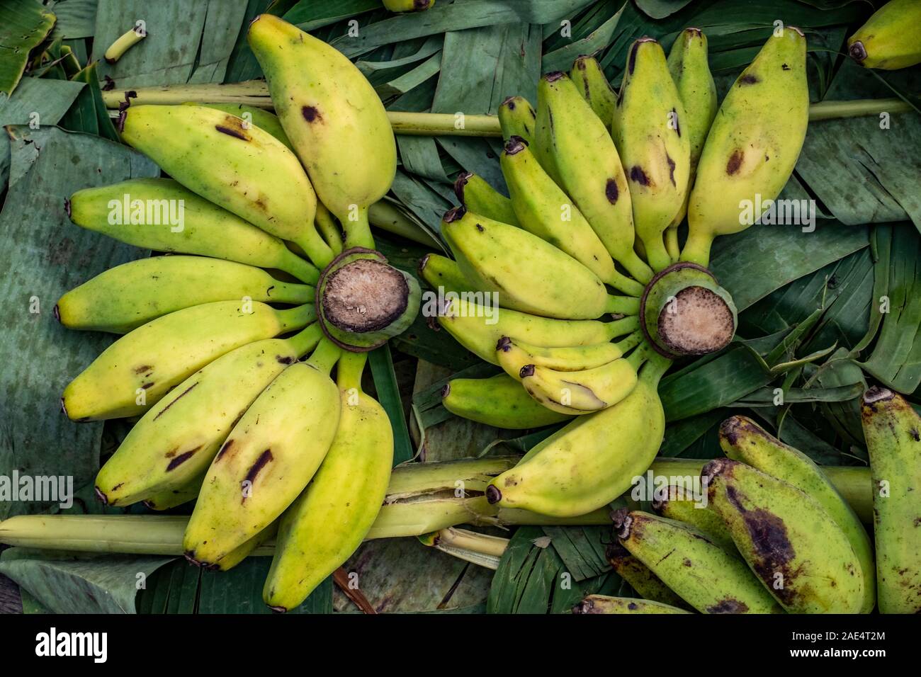 Array of bananas in a colourful pattern found for sale in a railroad ...