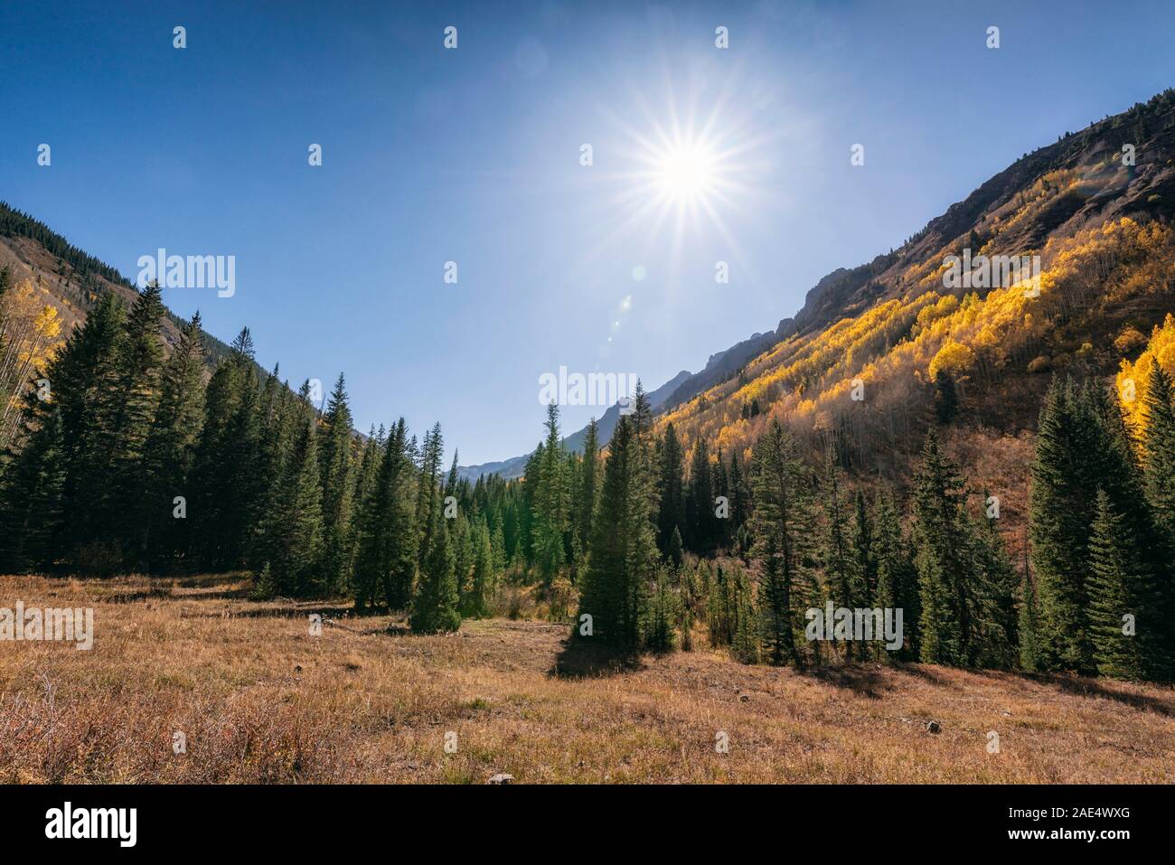 Maroon fall colors hi-res stock photography and images - Alamy