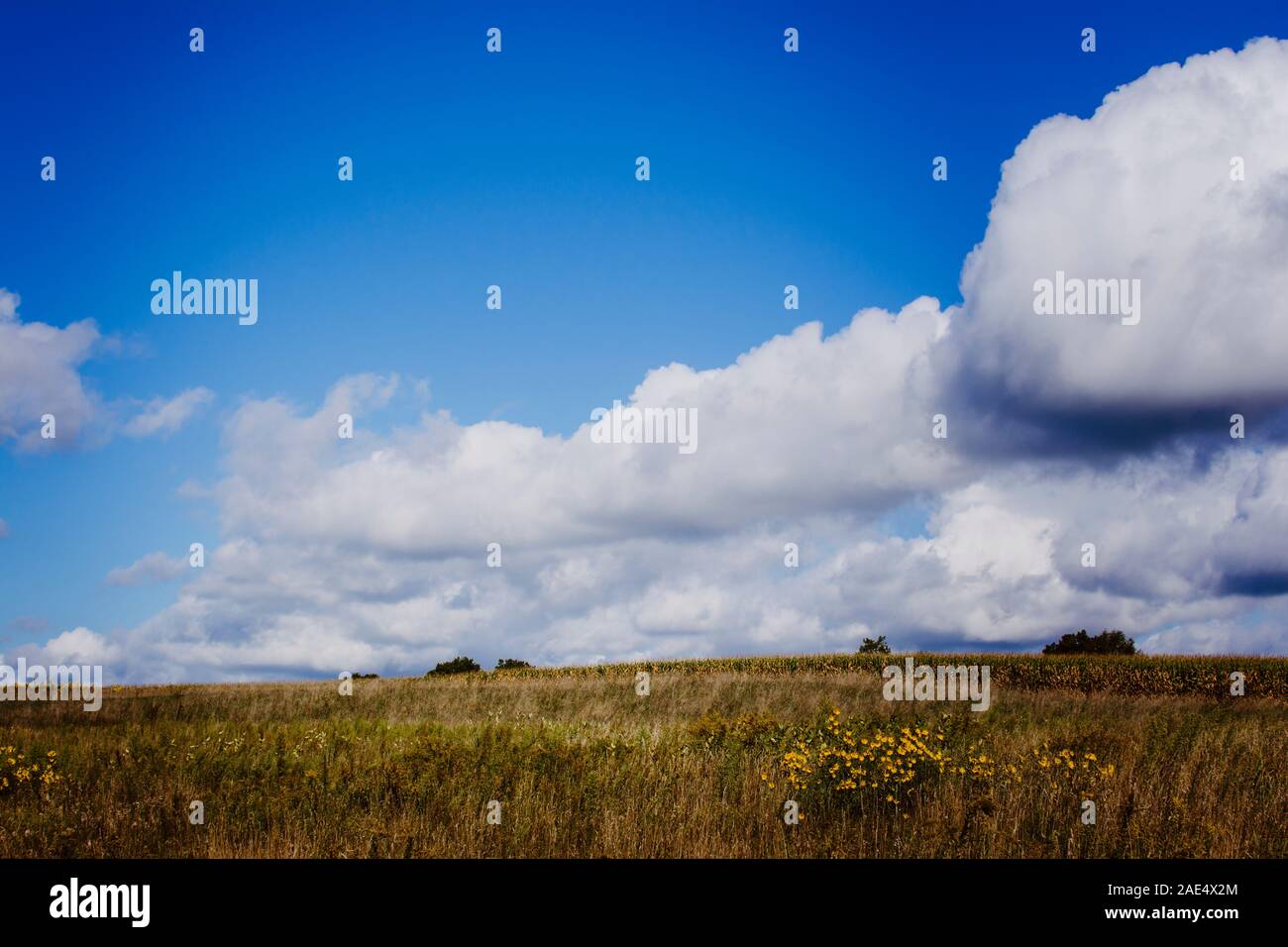 Cumulus clouds over prairie hi-res stock photography and images - Alamy