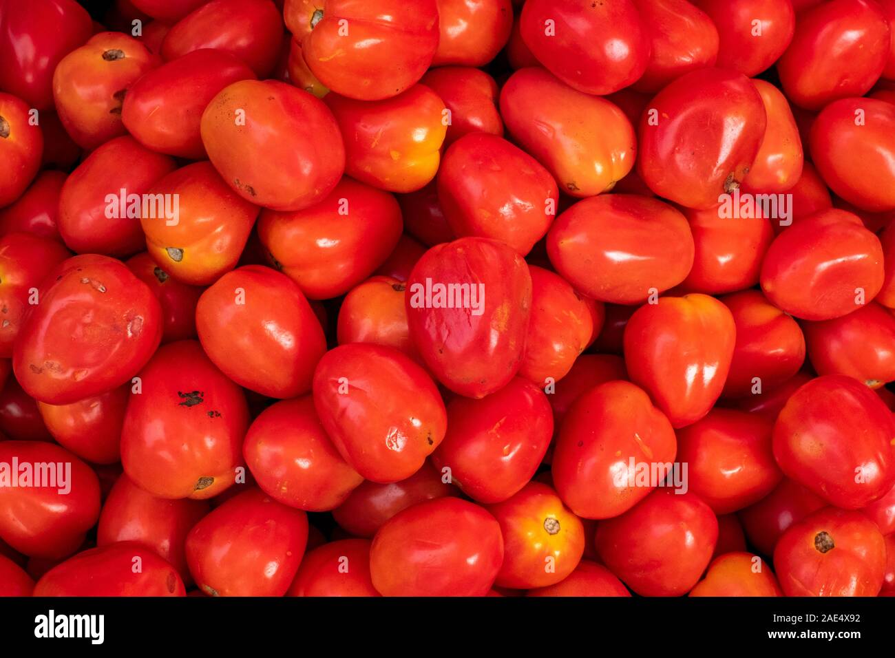 Full frame image of fresh bright red Roma tomatoes sold in a market in ...