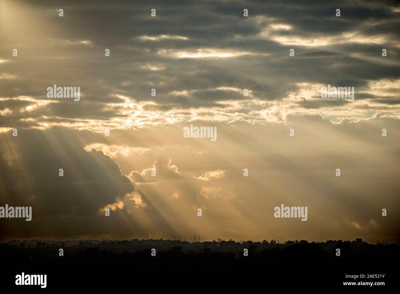 Alleluia hi-res stock photography and images - Alamy