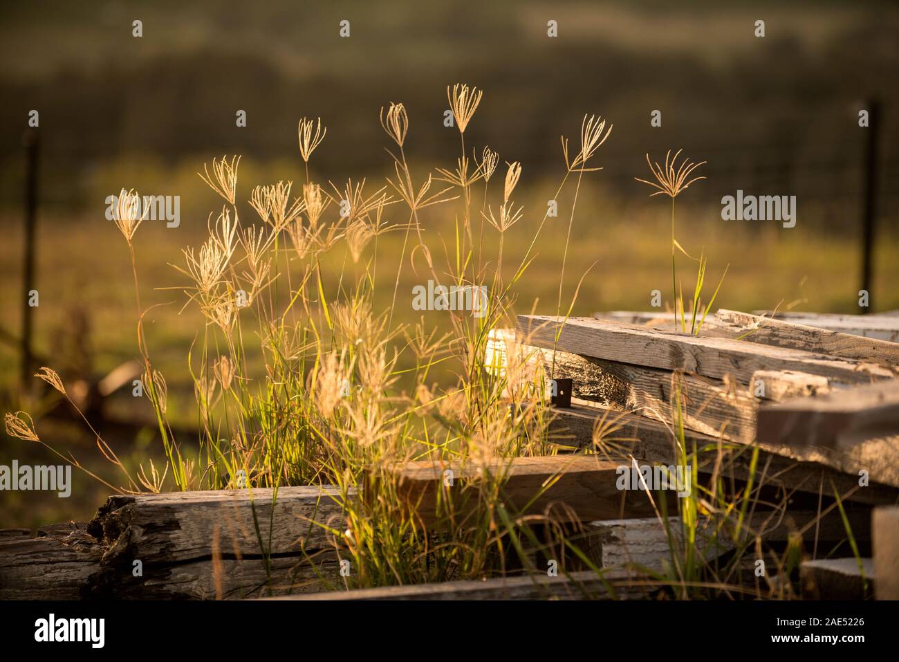 Timber sleepers hi-res stock photography and images - Alamy