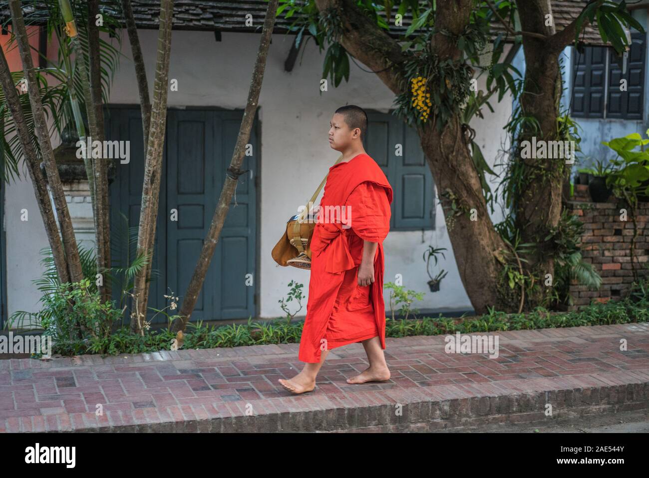Monks procession in Luang Prabang, Laos, Asia Stock Photo - Alamy