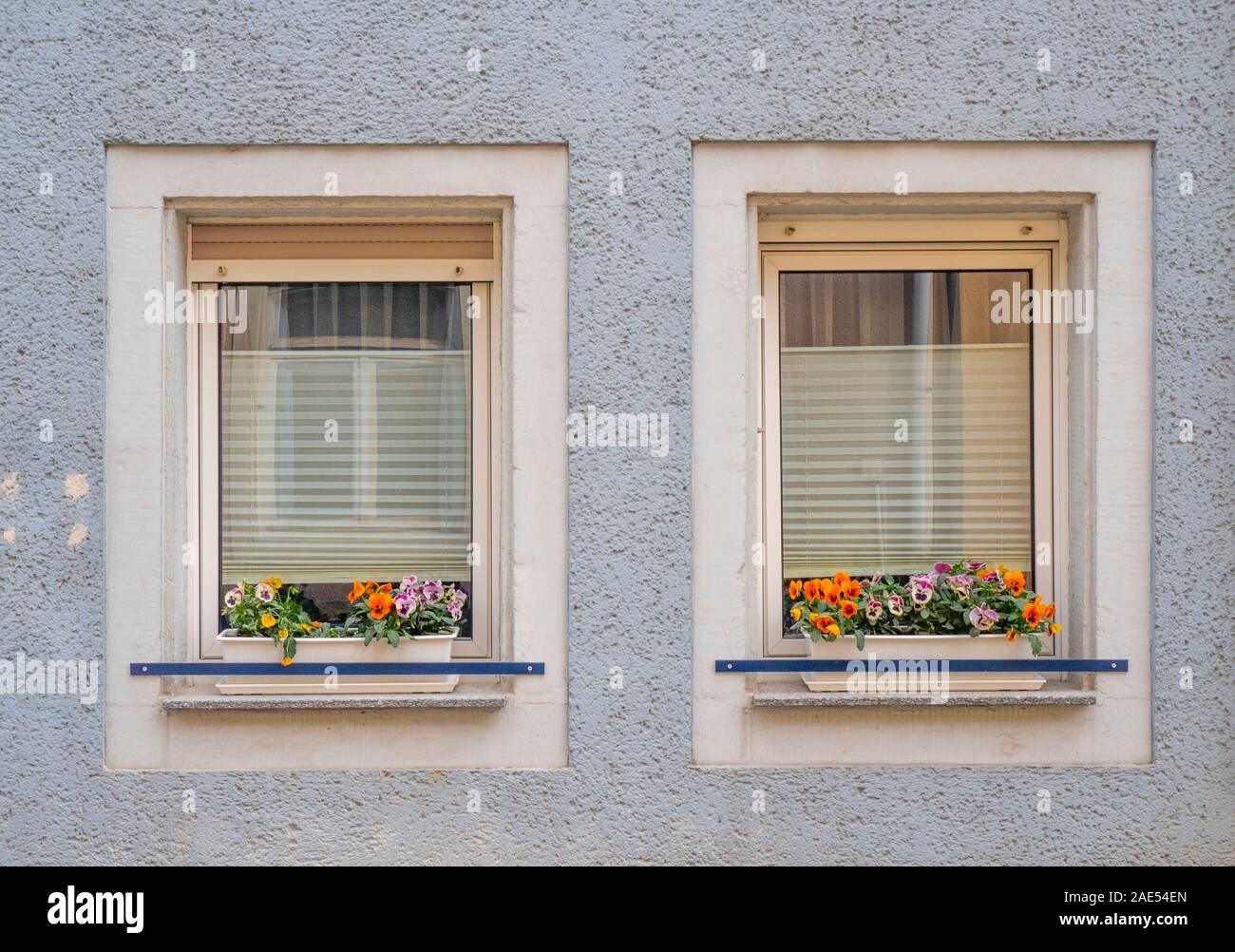 Flowers in windows sills hi-res stock photography and images - Alamy