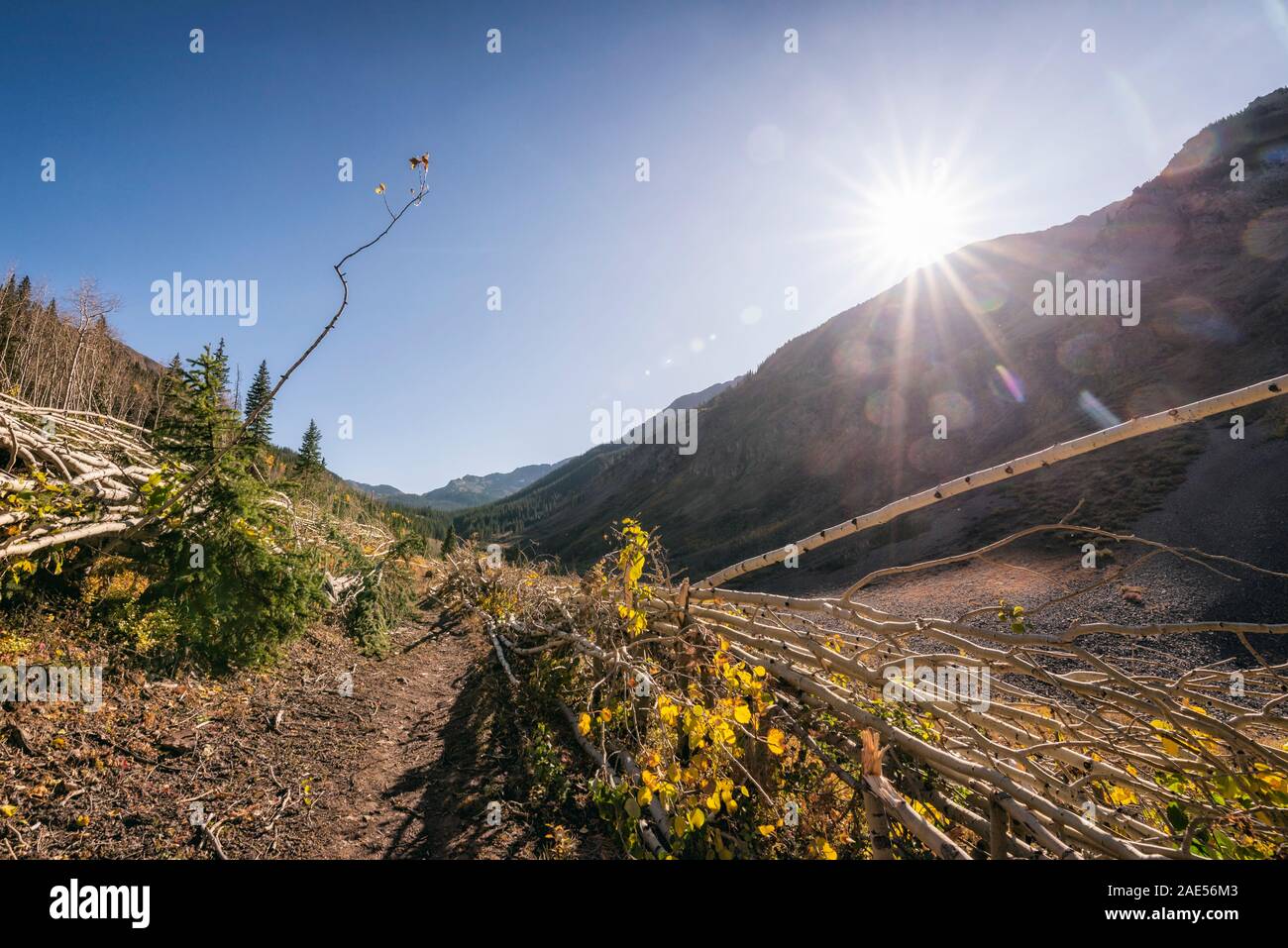 Avalanche Debris Field in the Maroon Bells-Snowmass Wilderness Stock ...