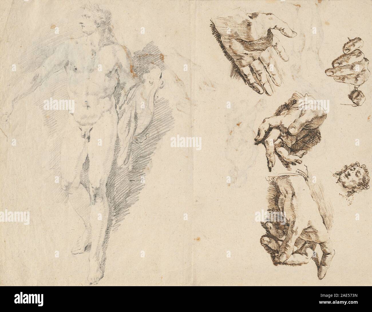 Apollo and Studies of the Artist's Own Hand [recto]; 1730/1732 ...