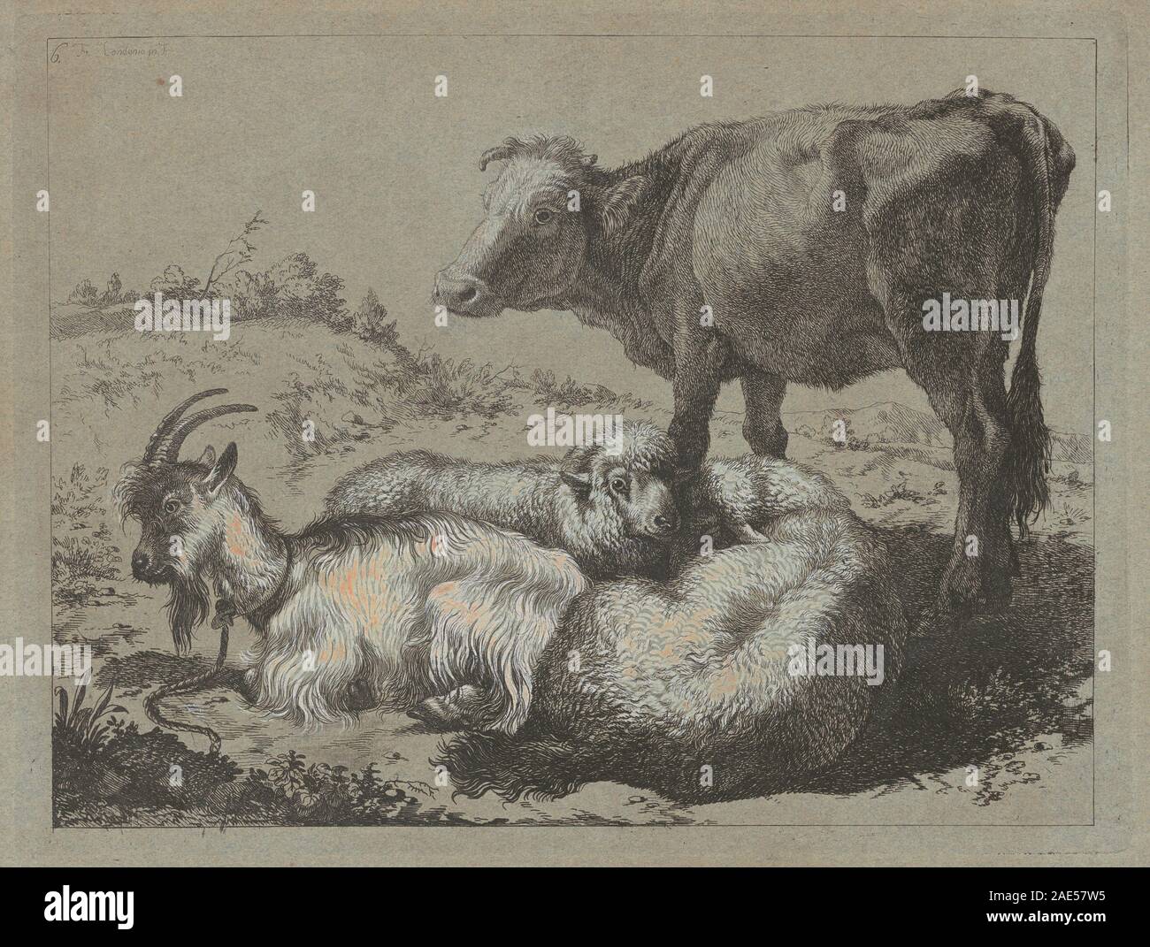 Standing Ox, Two Sheep, and a Goat; c. 1762 Francesco Londonio ...