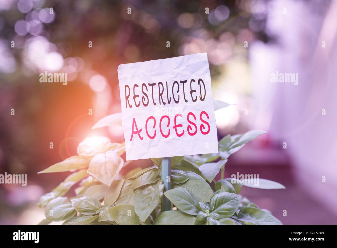 Word writing text Restricted Access. Business photo showcasing A class ...