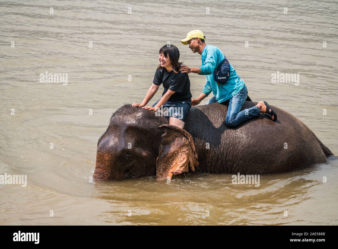 Tourists have bath with elephant, Luang Prabang Elephants Camp, Luang ...