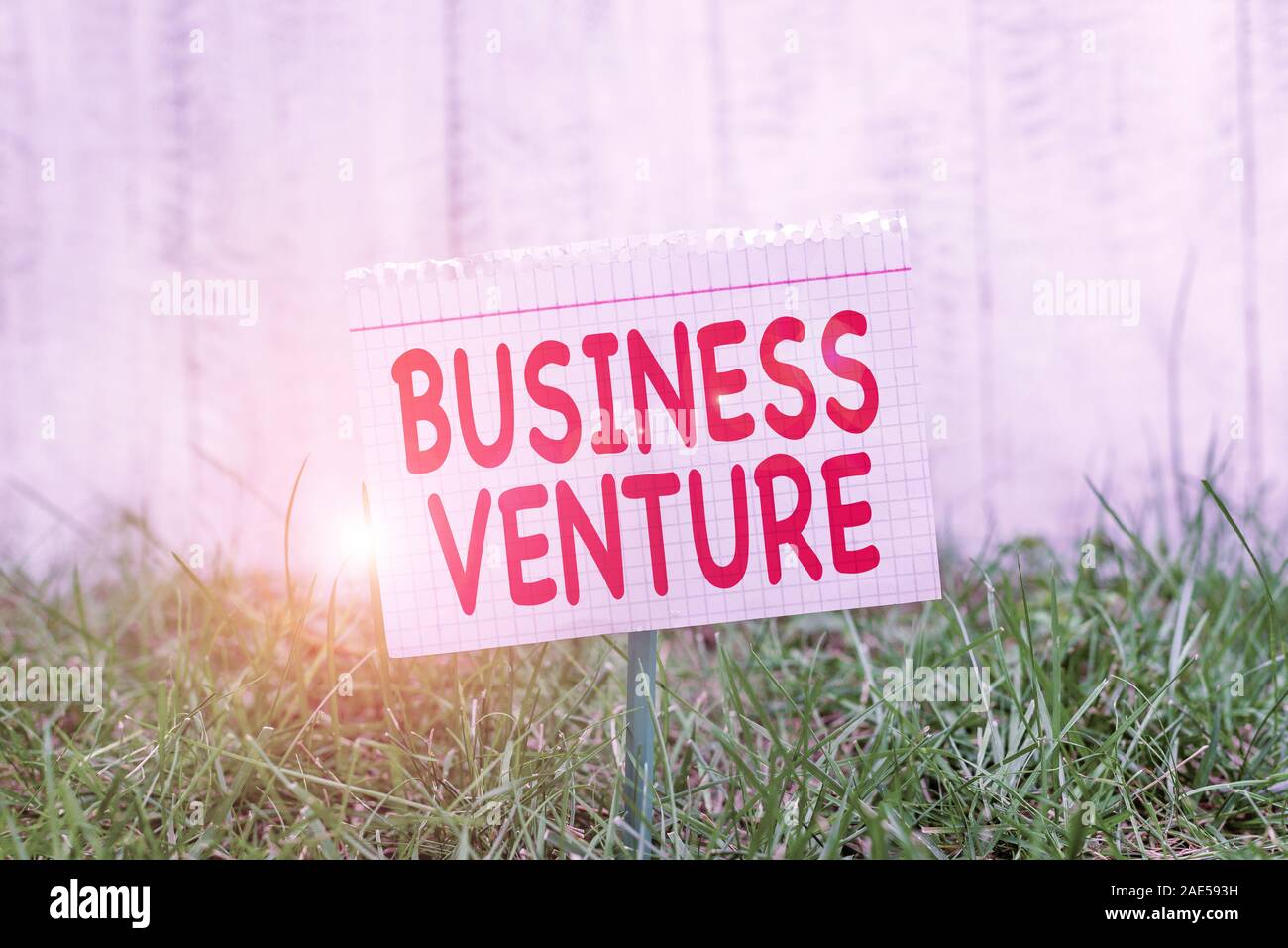 Conceptual hand writing showing Business Venture. Concept meaning new ...