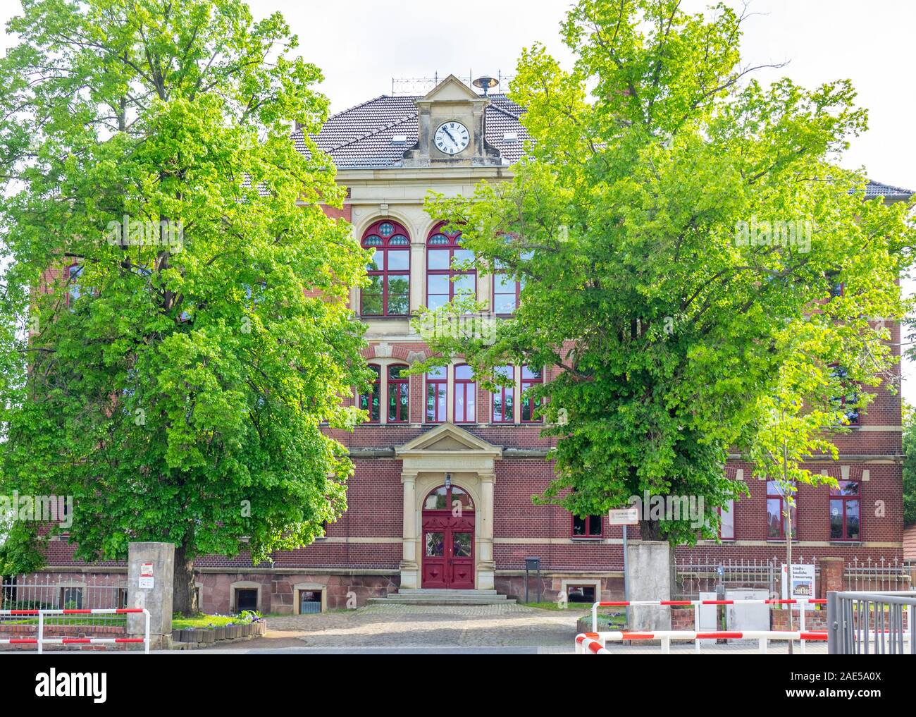 Two sycamore trees in front of the Grundschule Elementary School in the ...