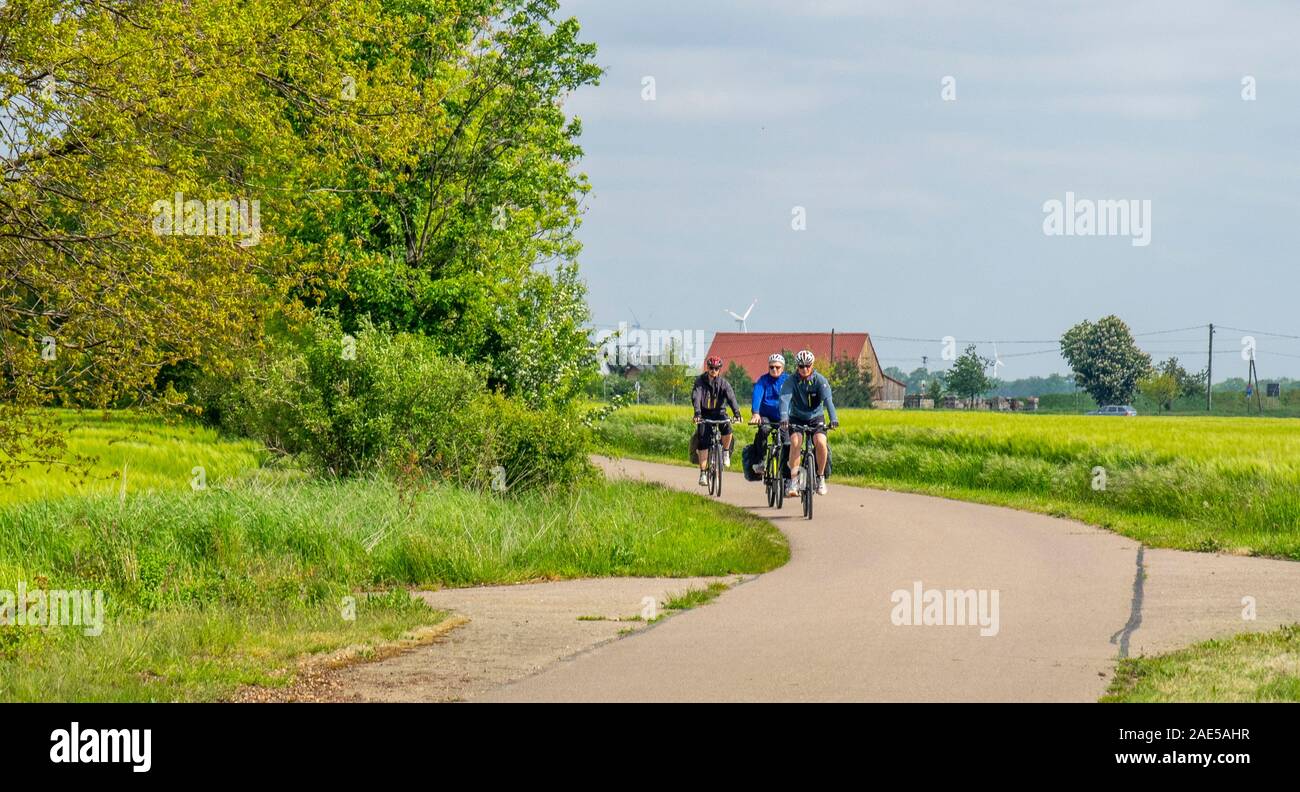 Touring cyclists riding on Elbe Cycle Route cycling on a country road ...