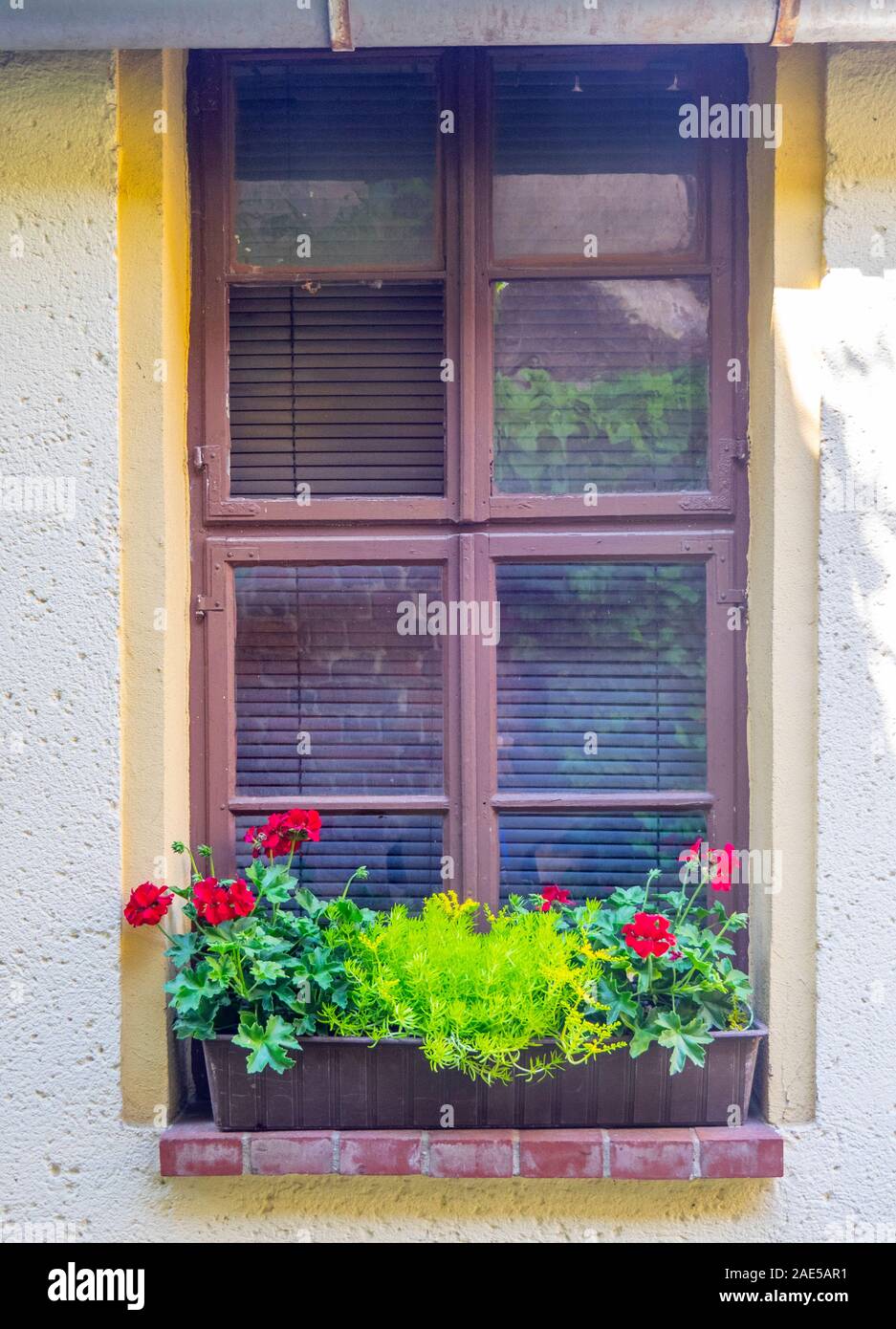 Flower box and flowers on a window sill Stock Photo - Alamy