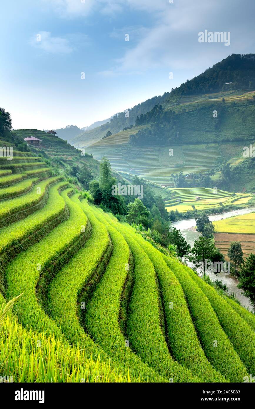 Beautiful terraced rice paddy field and mountain landscape in Mu Cang ...