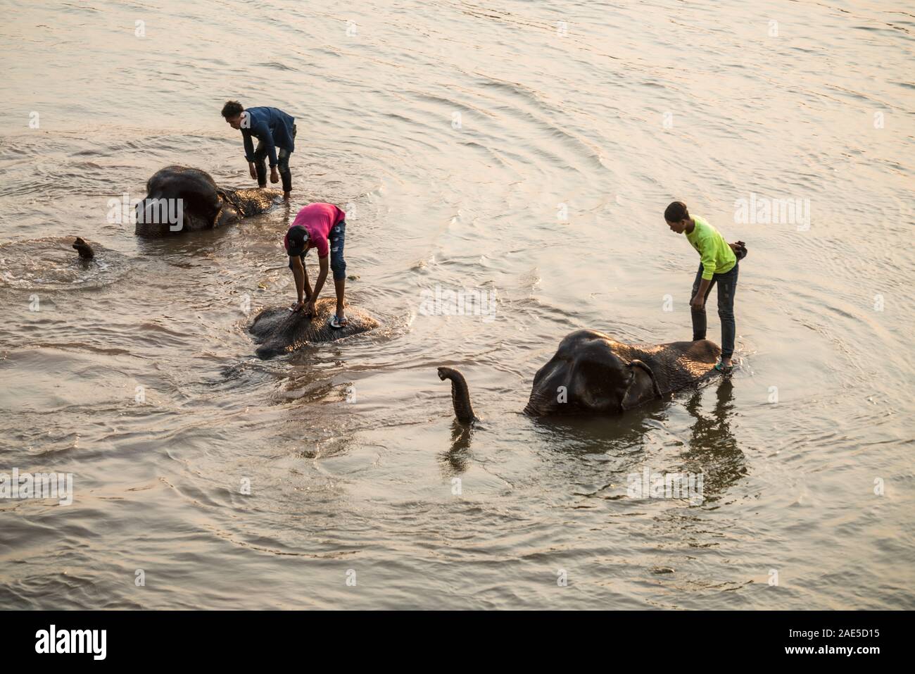 Bath with elephants, Luang Prabang Elephants Camp, Luang Prabang, Laos ...