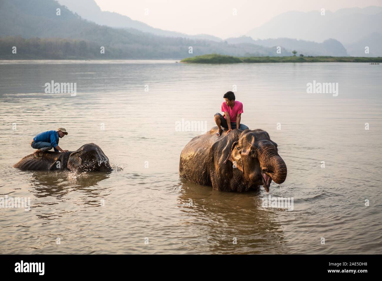 Bath with elephants, Luang Prabang Elephants Camp, Luang Prabang, Laos ...