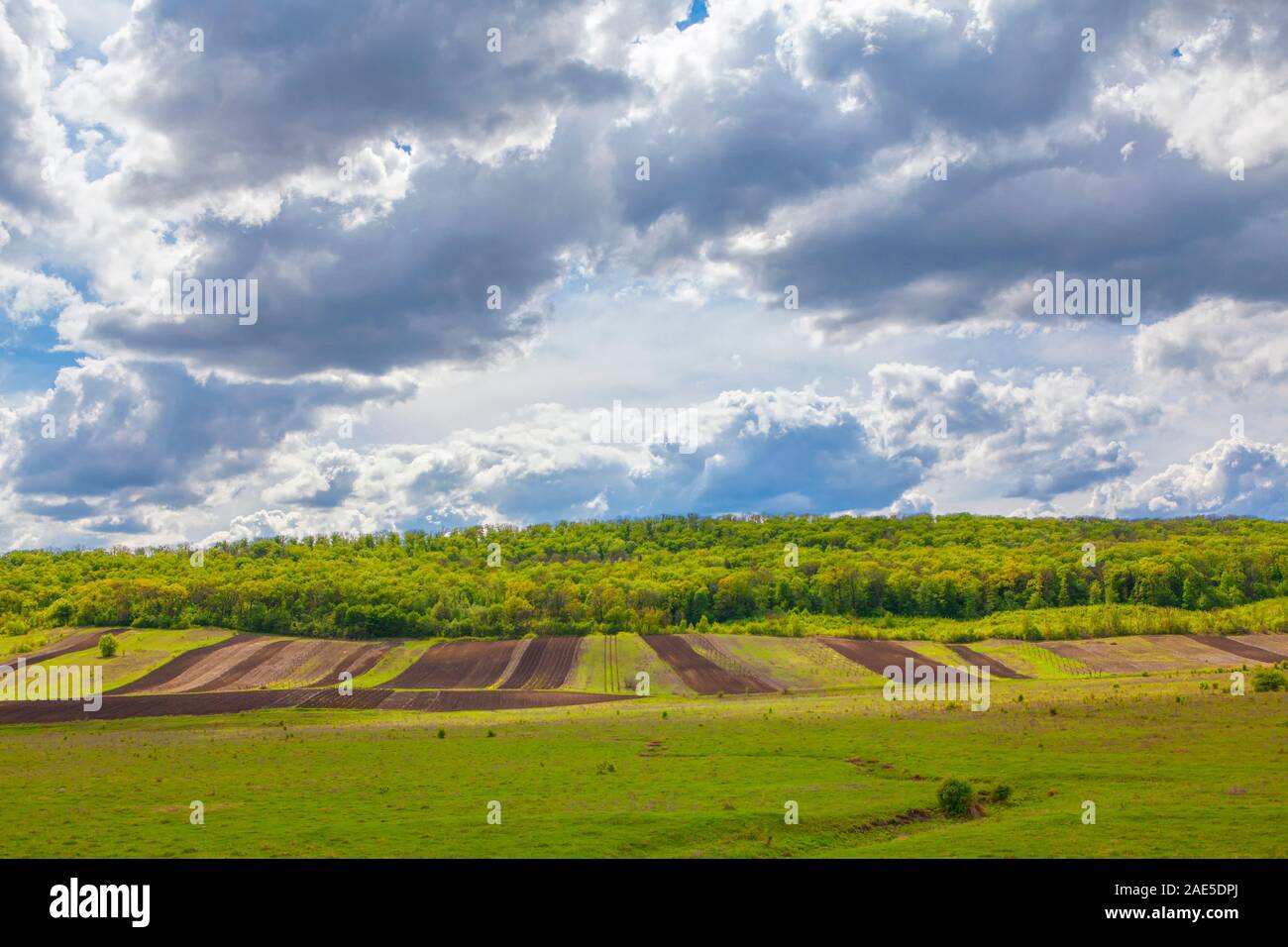 spring landscape with green agricultural fields Stock Photo - Alamy