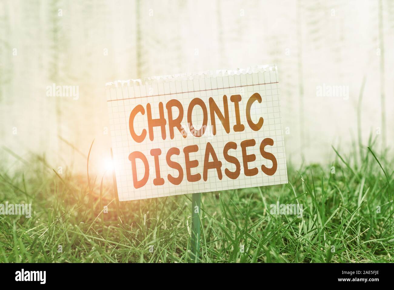 Conceptual hand writing showing Chronic Diseases. Concept meaning A ...