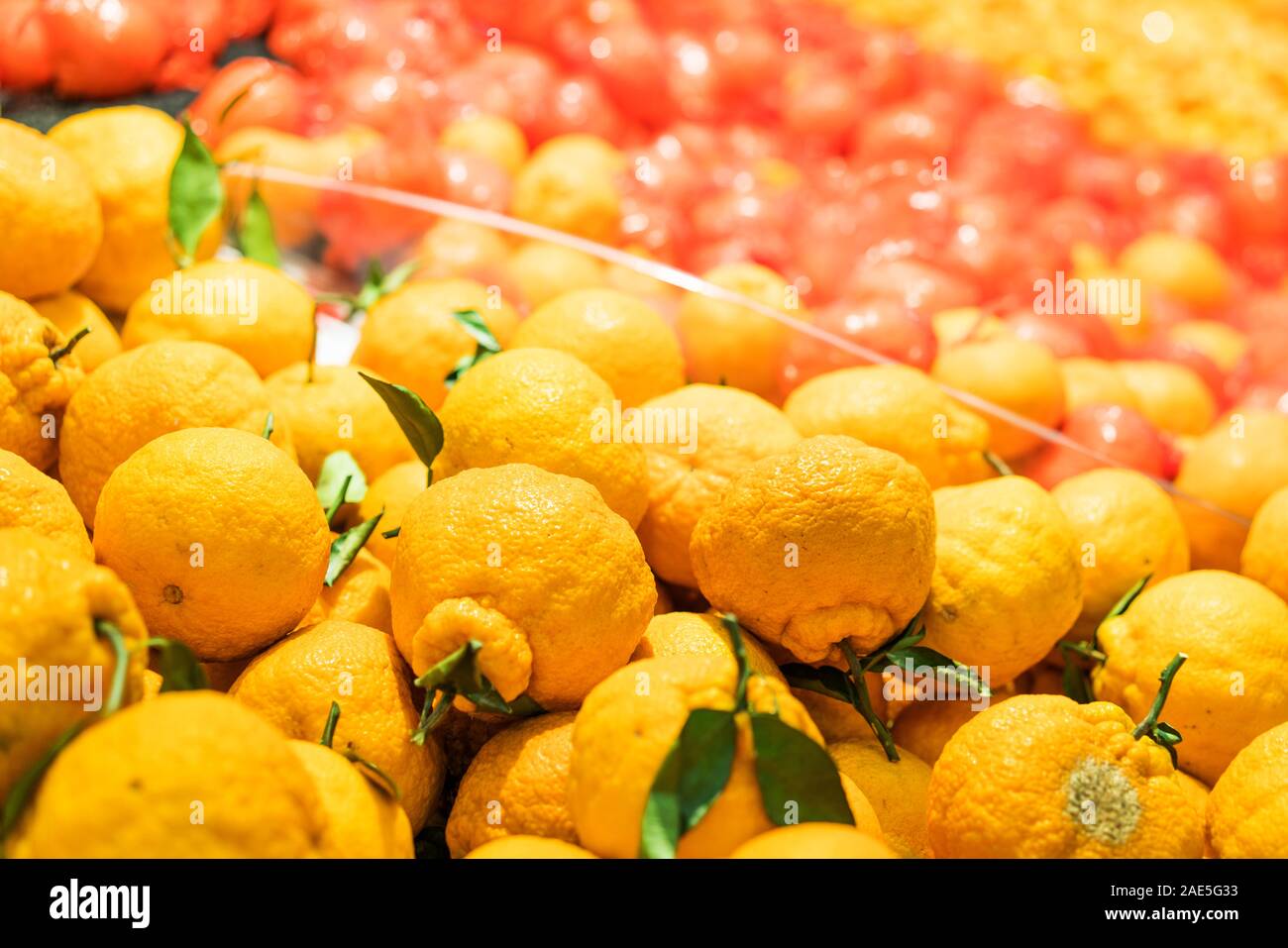 Fresh mandarin oranges Stock Photo - Alamy