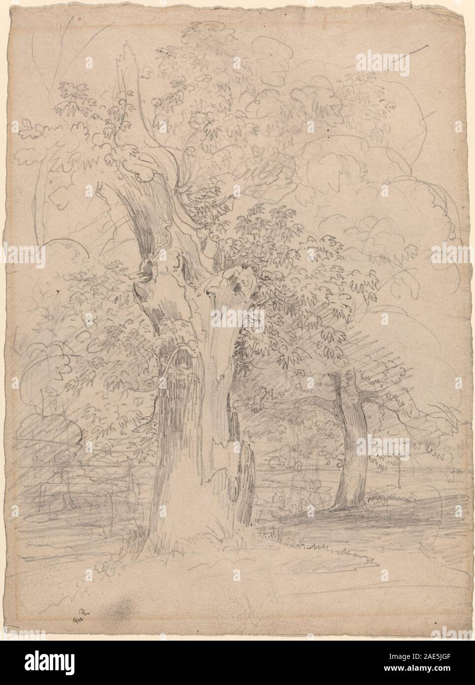 An Ancient Tree with Figures in a Landscape; circa 1835 date Friedrich ...