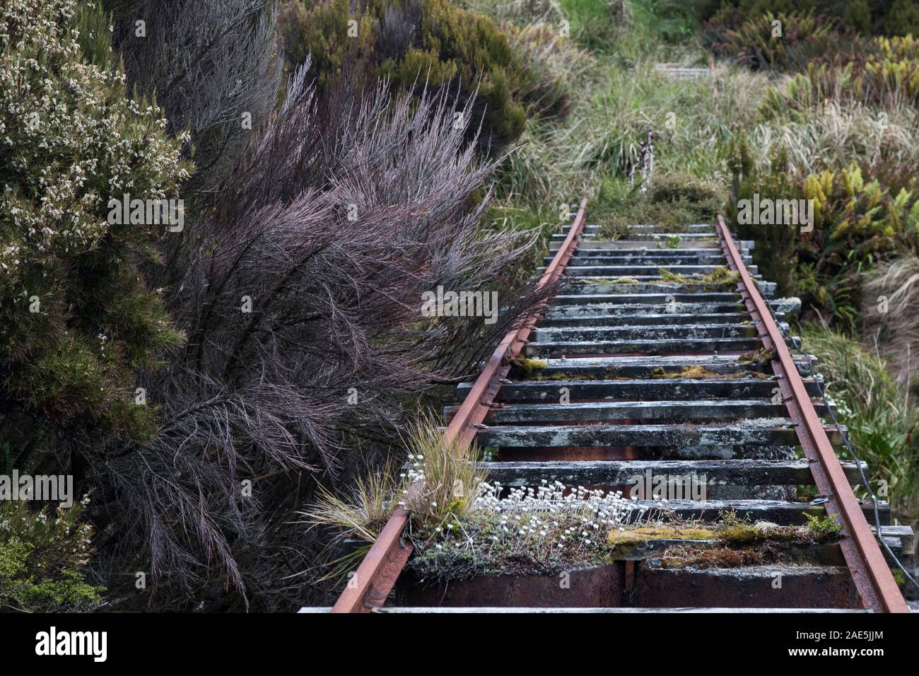 Abandoned railroad track hi-res stock photography and images - Alamy