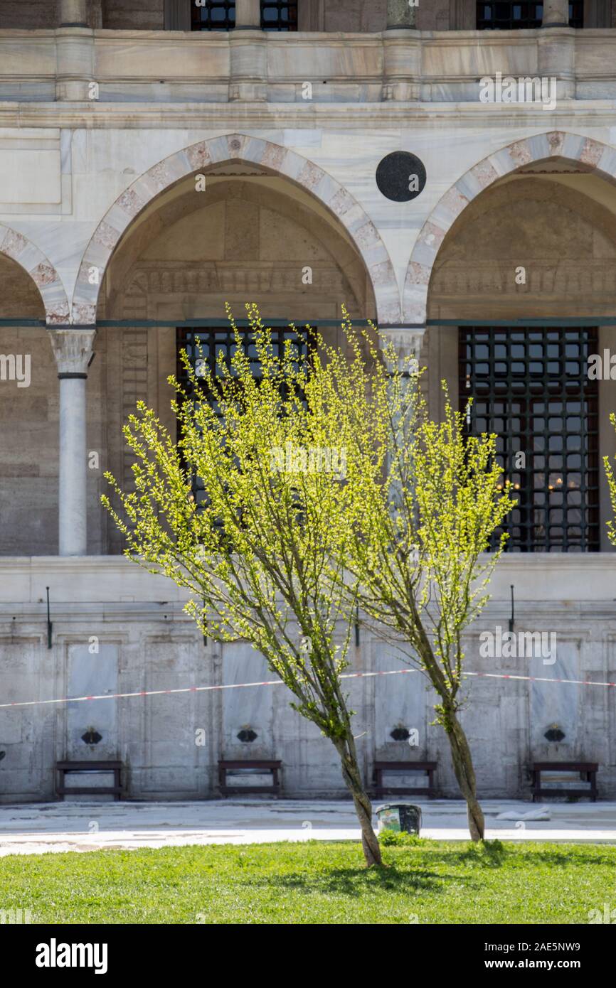Trees in the park of an Ottoman structure on display Stock Photo - Alamy