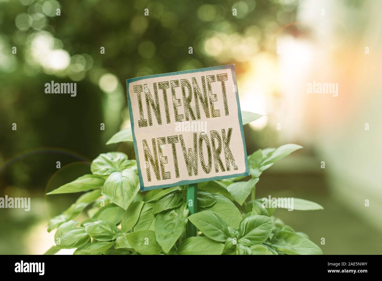 Writing note showing Internet Network. Business concept for connects ...