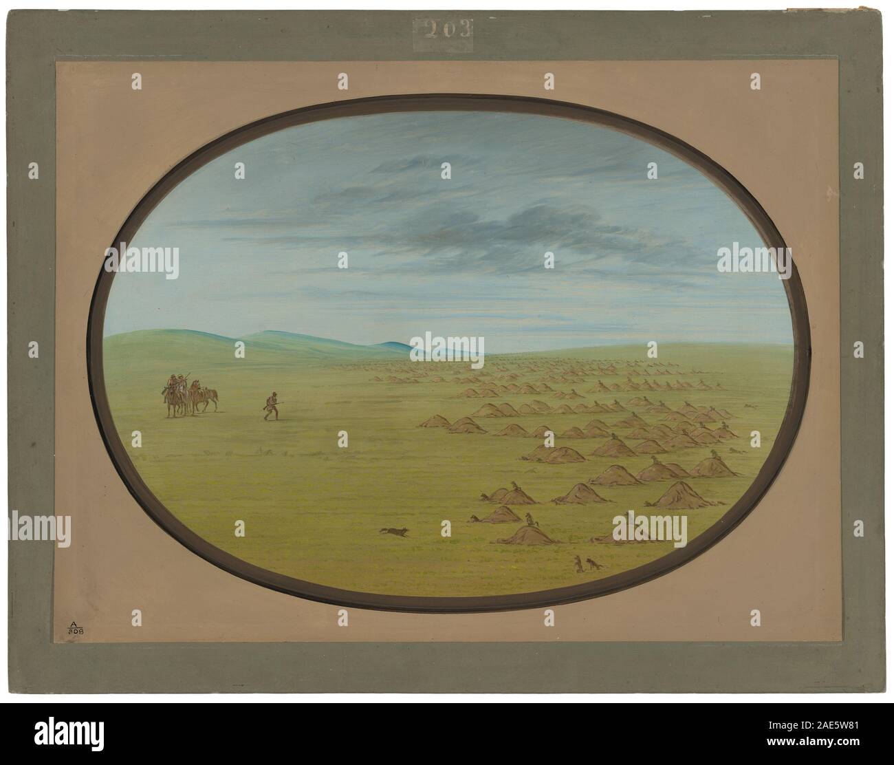 Dog burrow Cut Out Stock Images & Pictures - Alamy
