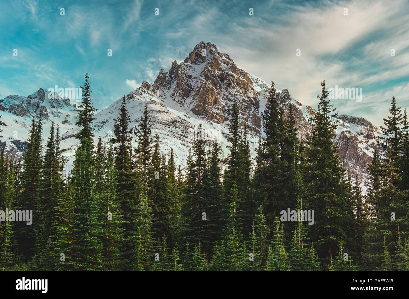 View of the Canadian Rocky mountains in Banff National Park in Alberta ...