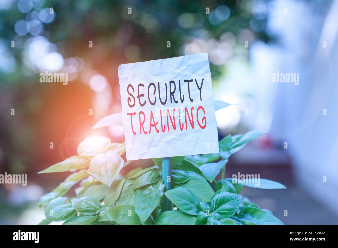 Word writing text Security Training. Business photo showcasing ...