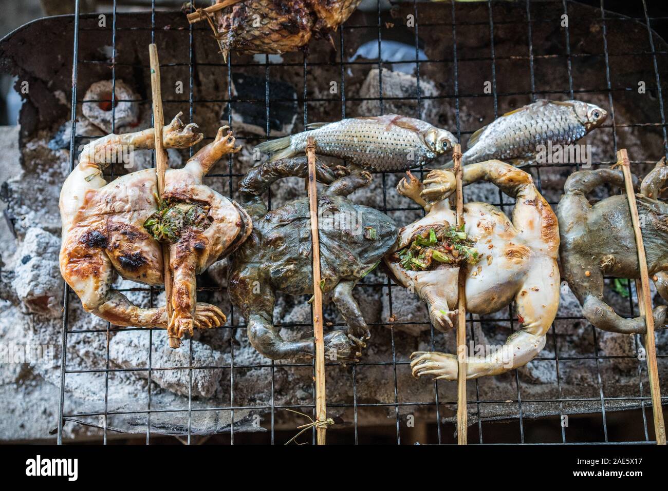 Eat frog asia hi-res stock photography and images - Alamy