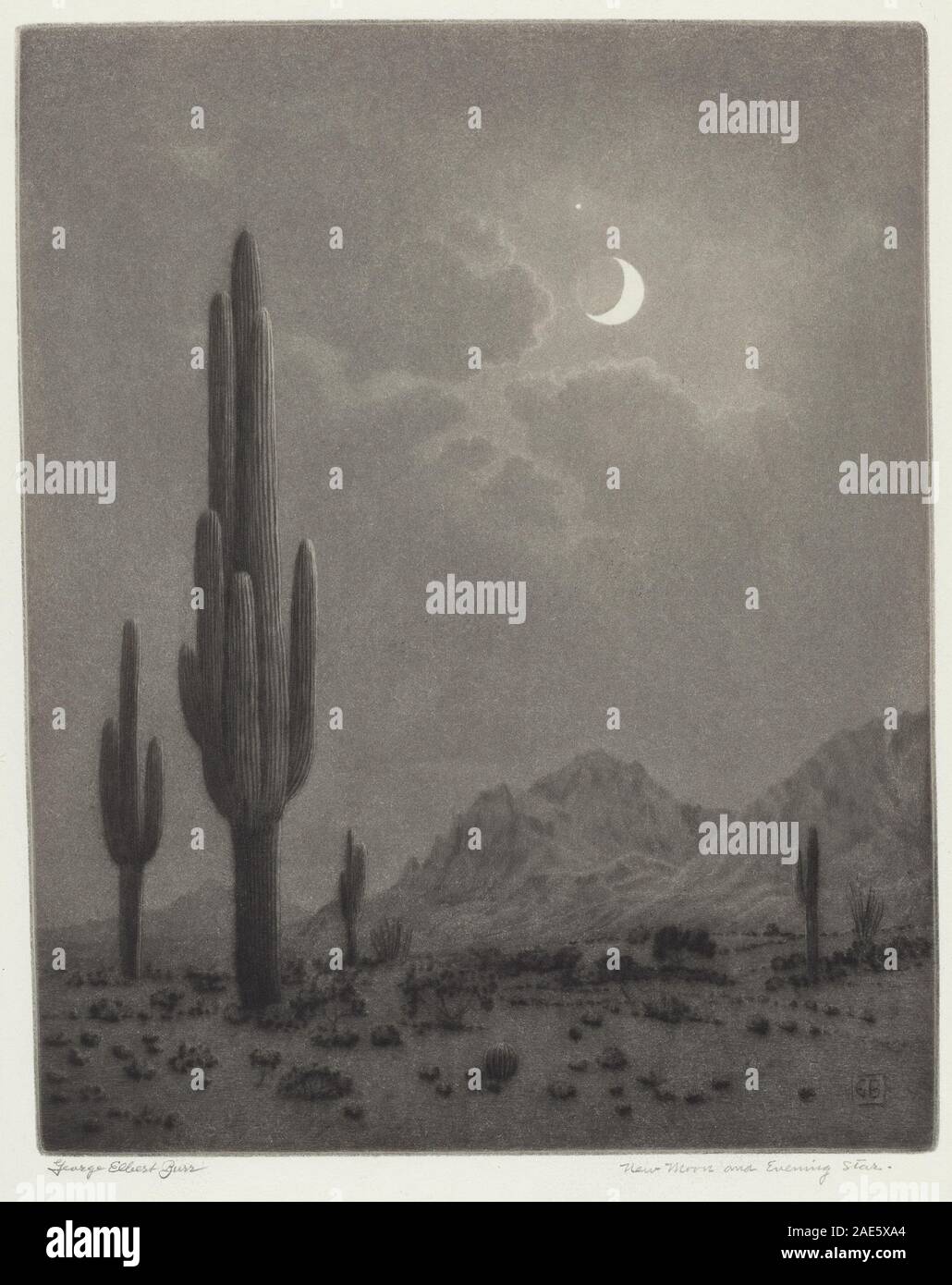 This 1932 work by George Elbert Burr depicts a night sky with a new ...