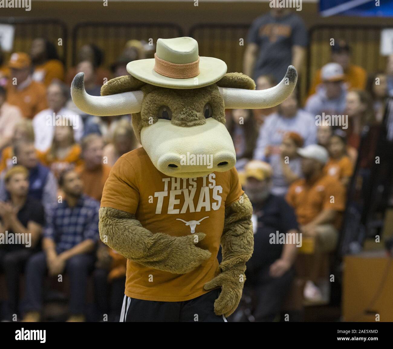 Volleyball mascot hi-res stock photography and images - Alamy