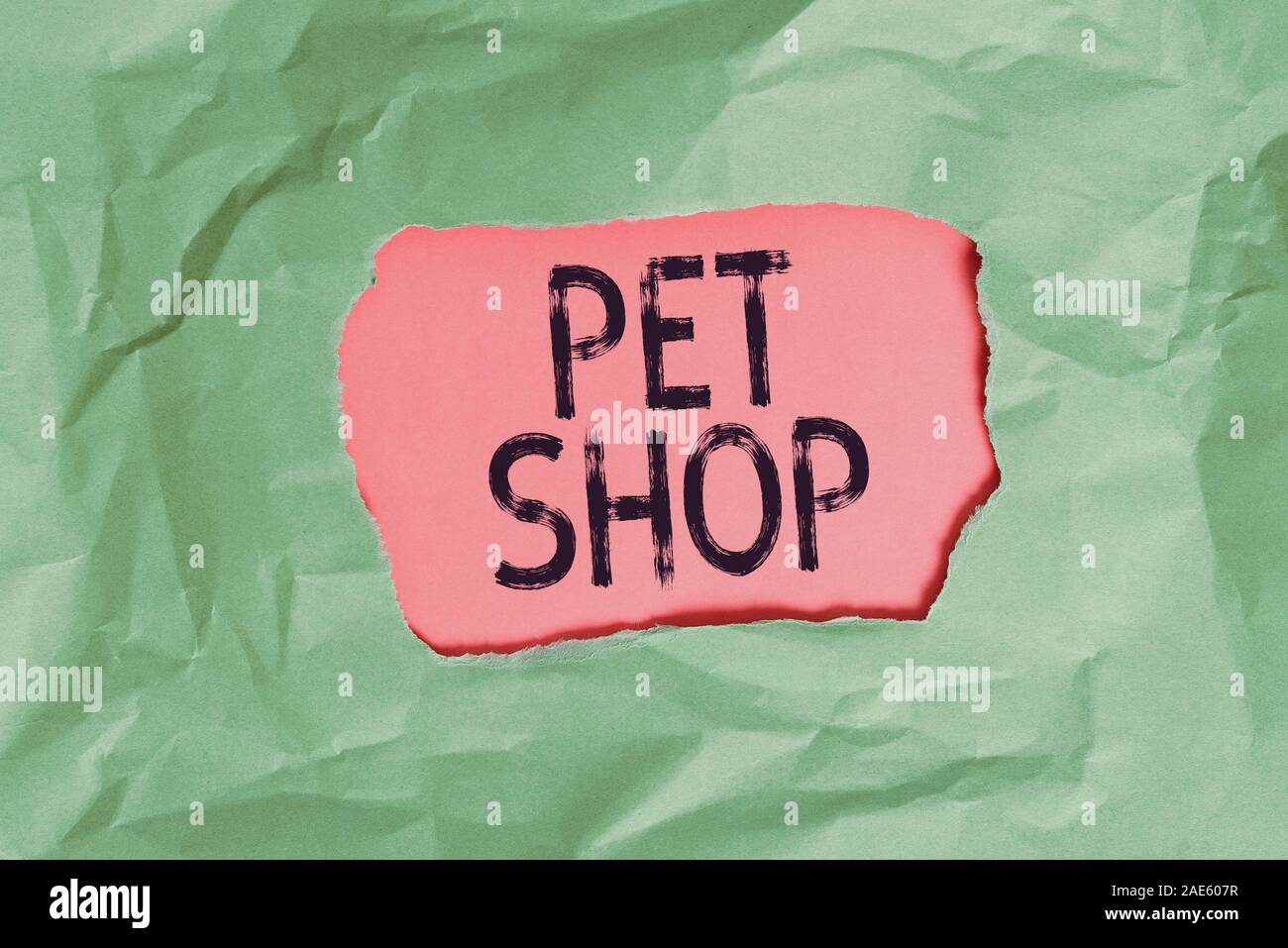 Handwriting text Pet Shop. Conceptual photo Retail business that sells ...