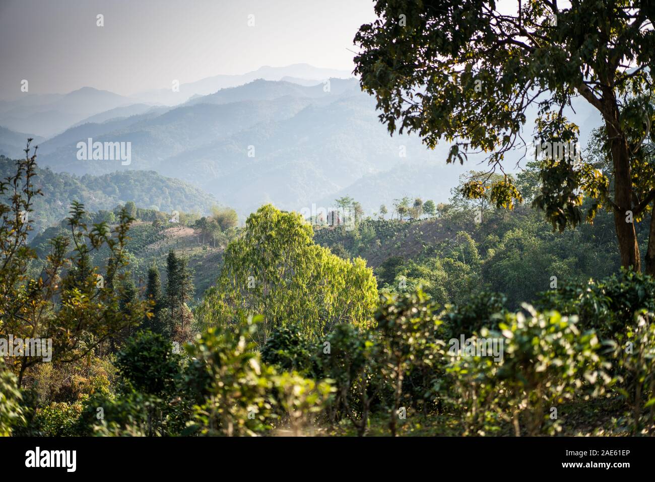 Landscape near of the Phongsali, Laos, Asie Stock Photo - Alamy