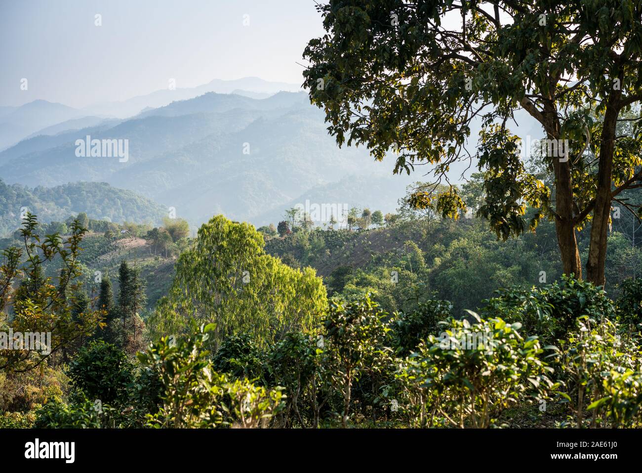 Landscape near of the Phongsali, Laos, Asie Stock Photo - Alamy