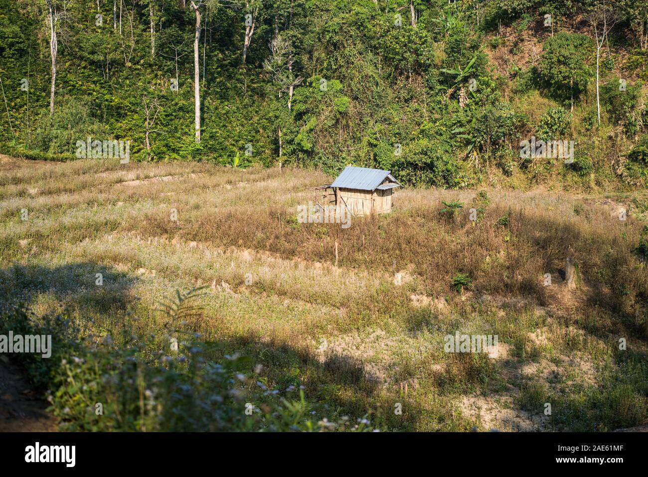 Landscape near of the Phongsali, Laos, Asie Stock Photo - Alamy