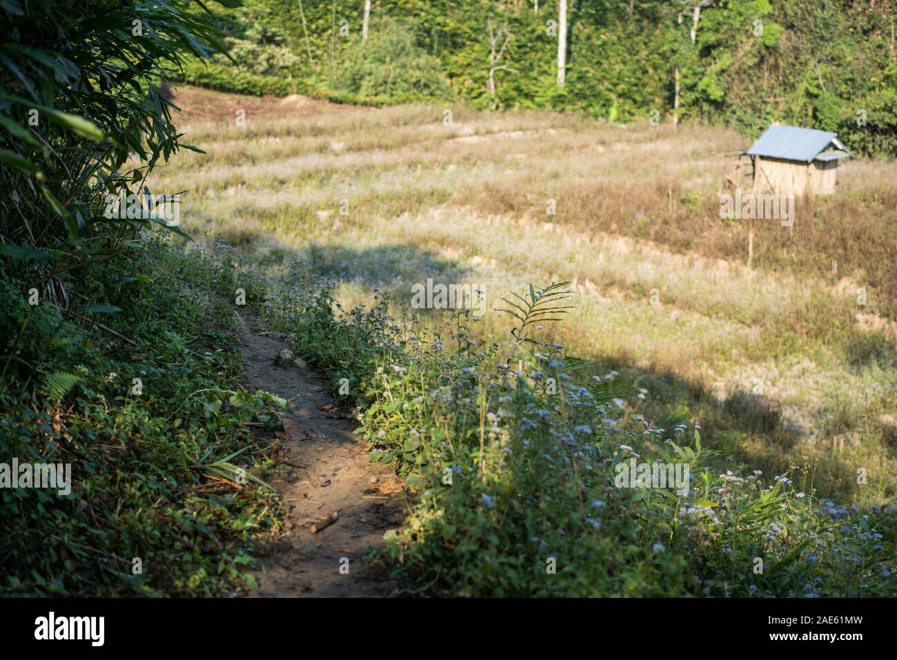 Phongsali hi-res stock photography and images - Alamy