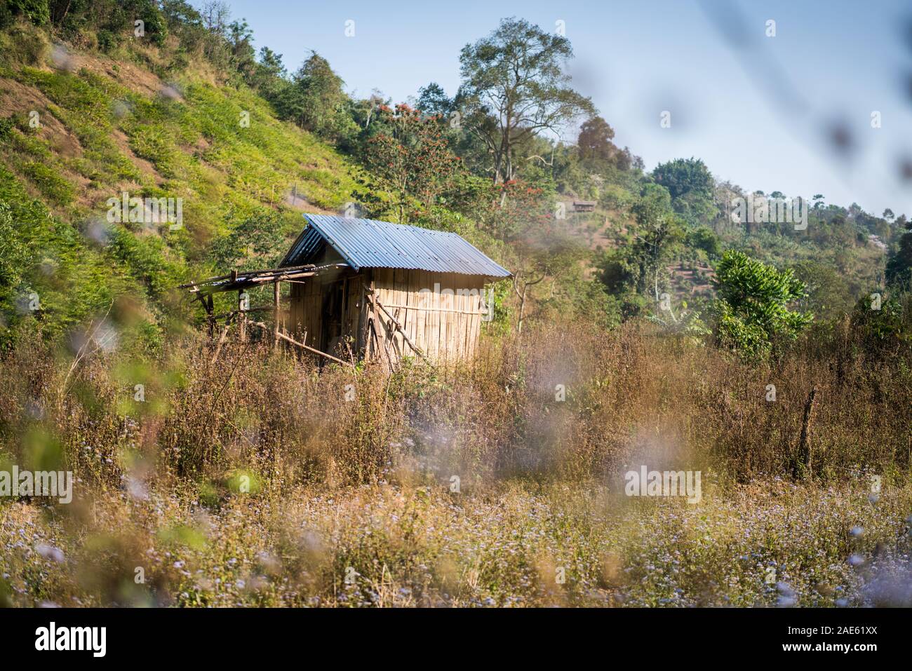 Phongsali hi-res stock photography and images - Alamy