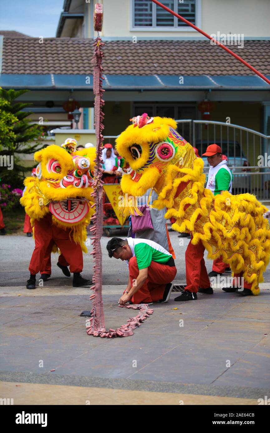 Lion dance ready to light up the chinese fire cracker during chinese ...