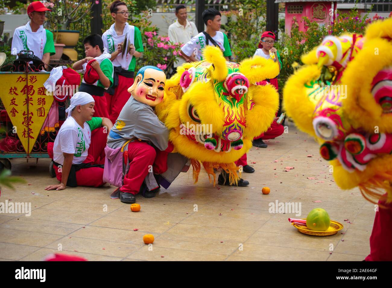 Big head buddha being playful with the lion during chinese new year ...
